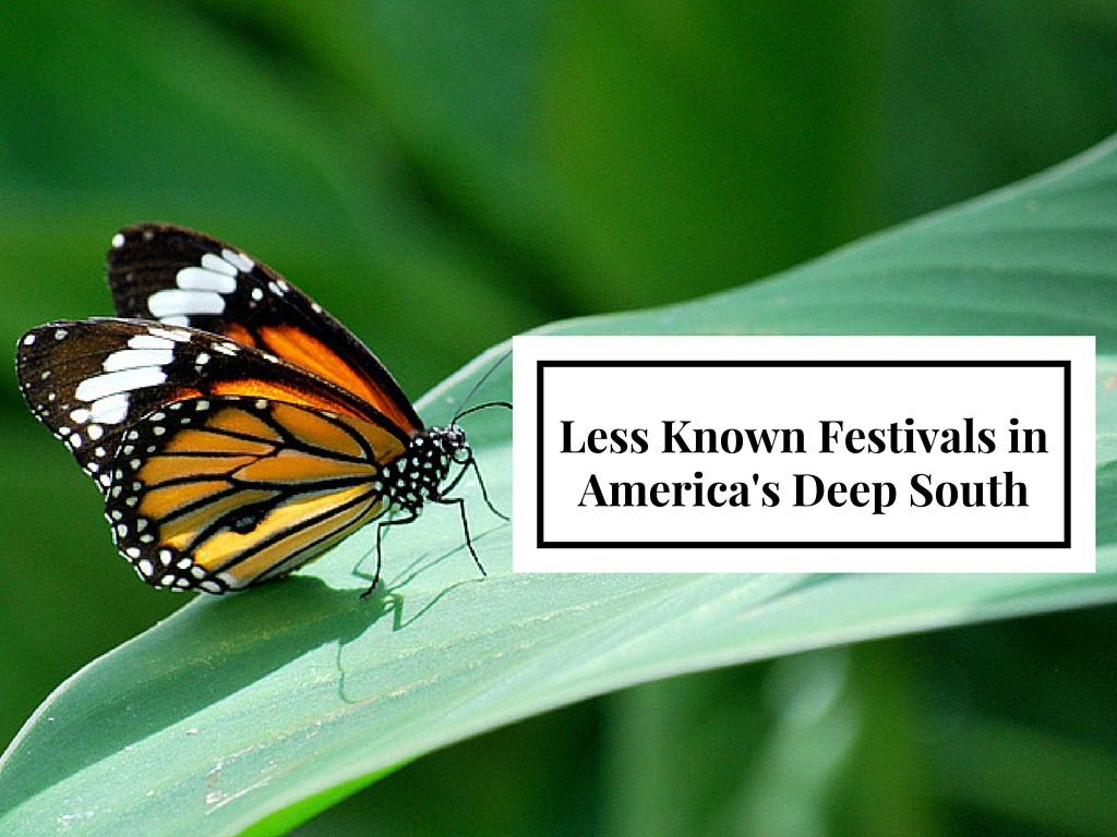 Eat Sleep Breathe Travel's Fun Festivals Worth Checking Out in Lesser ...