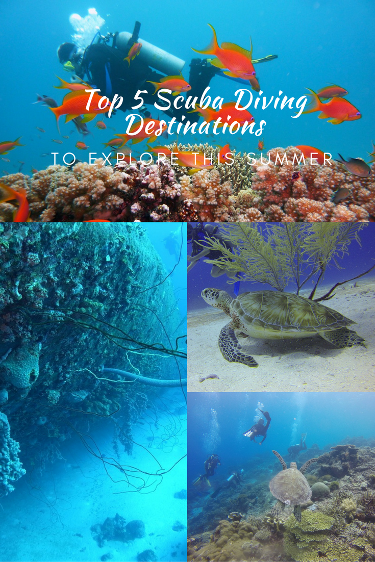 Top 5 Scuba Diving Destinations to Explore This Summer - Travel Tweaks ...