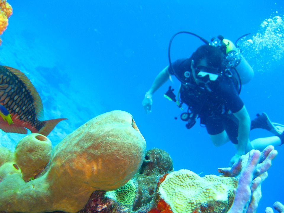 Top 5 Scuba Diving Destinations to Explore This Summer - Travel Tweaks