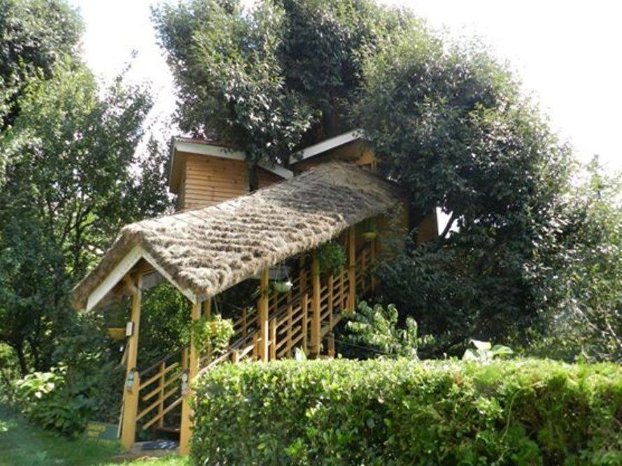 5 Best Tree Houses In India For The Most Pleasant Stay - Traveltweaks