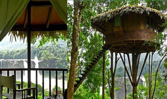 5 Best Tree Houses In India For The Most Pleasant Stay - TX EPC