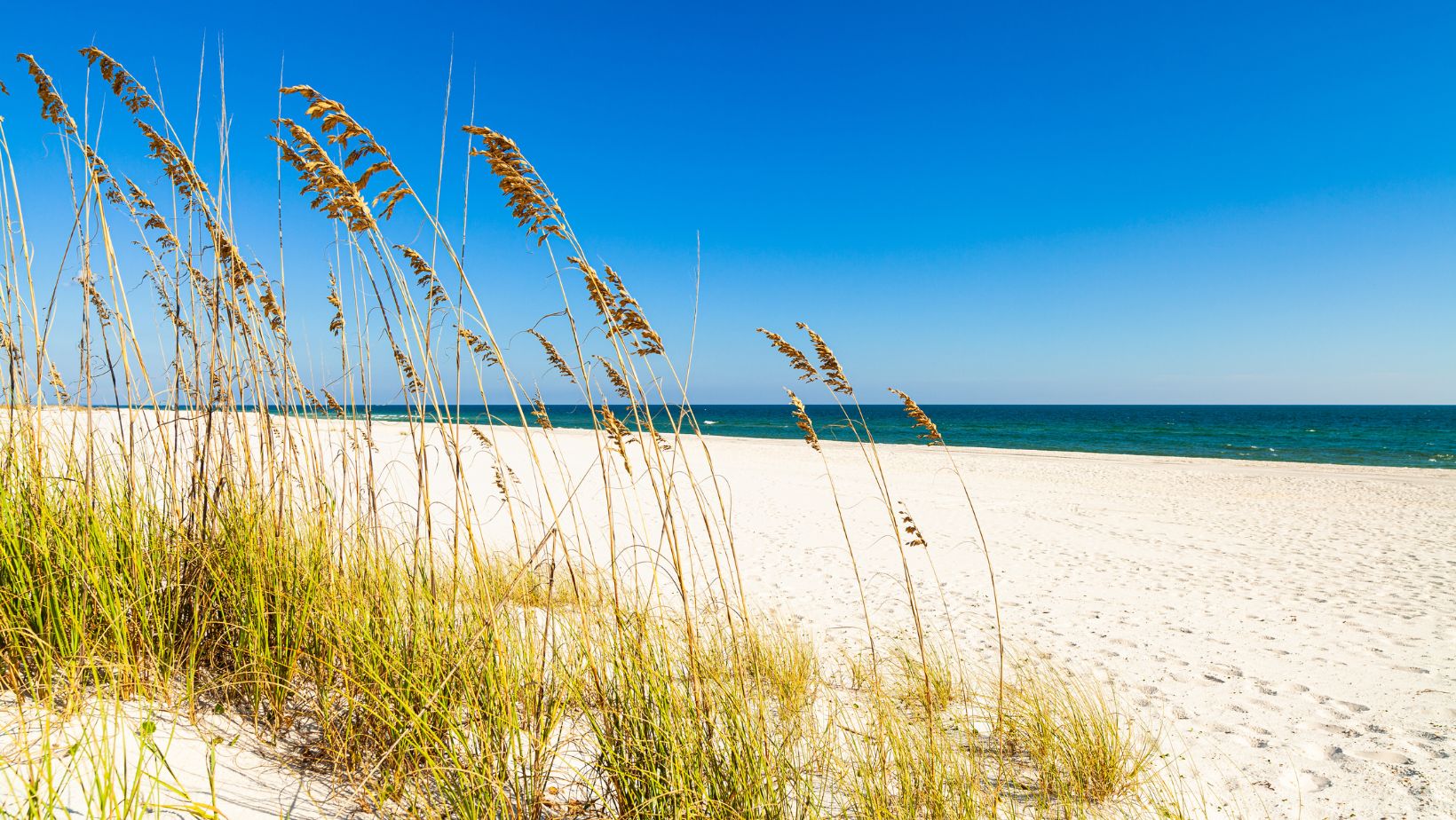 Coastal Connection: Revealing How Far is North Port Florida From The ...
