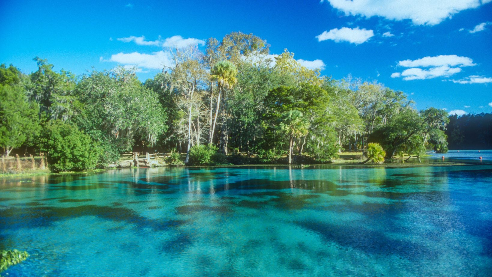 Best Time To Visit How Far Is High Springs Florida From Me - Traveltweaks