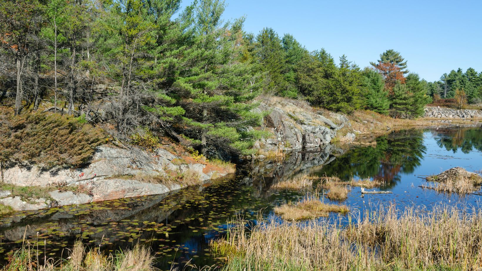 5 Must-Visit Towns in Muskoka To Get The Most Out Of Your Trip - Travel ...