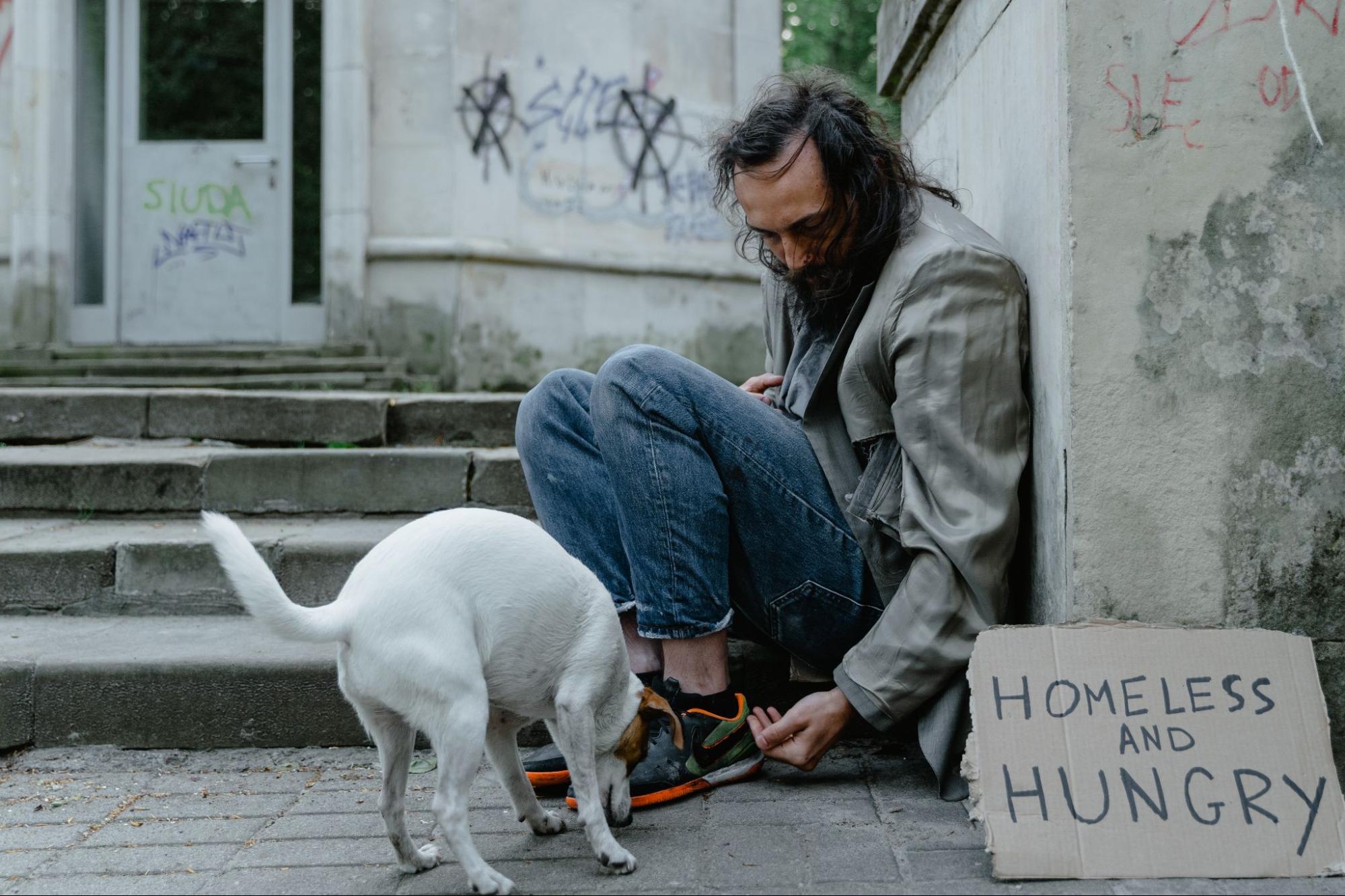 The Reality of Homelessness: What Do i Do if I’m Homeless with a Dog ...
