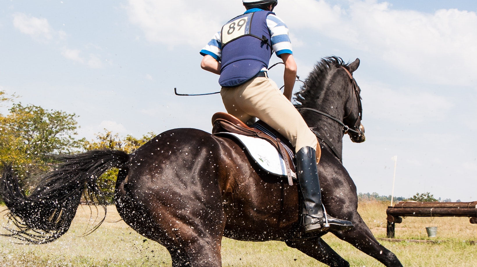 Managing the Energy of Your High-Spirited Stallion: I Can’t Keep up ...