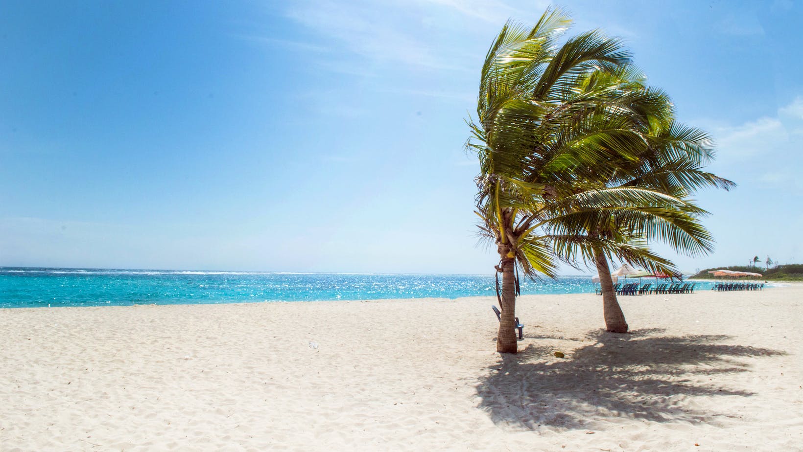Stunning Gulf Coast Beaches: How Far is Lutz Florida From the Beach ...