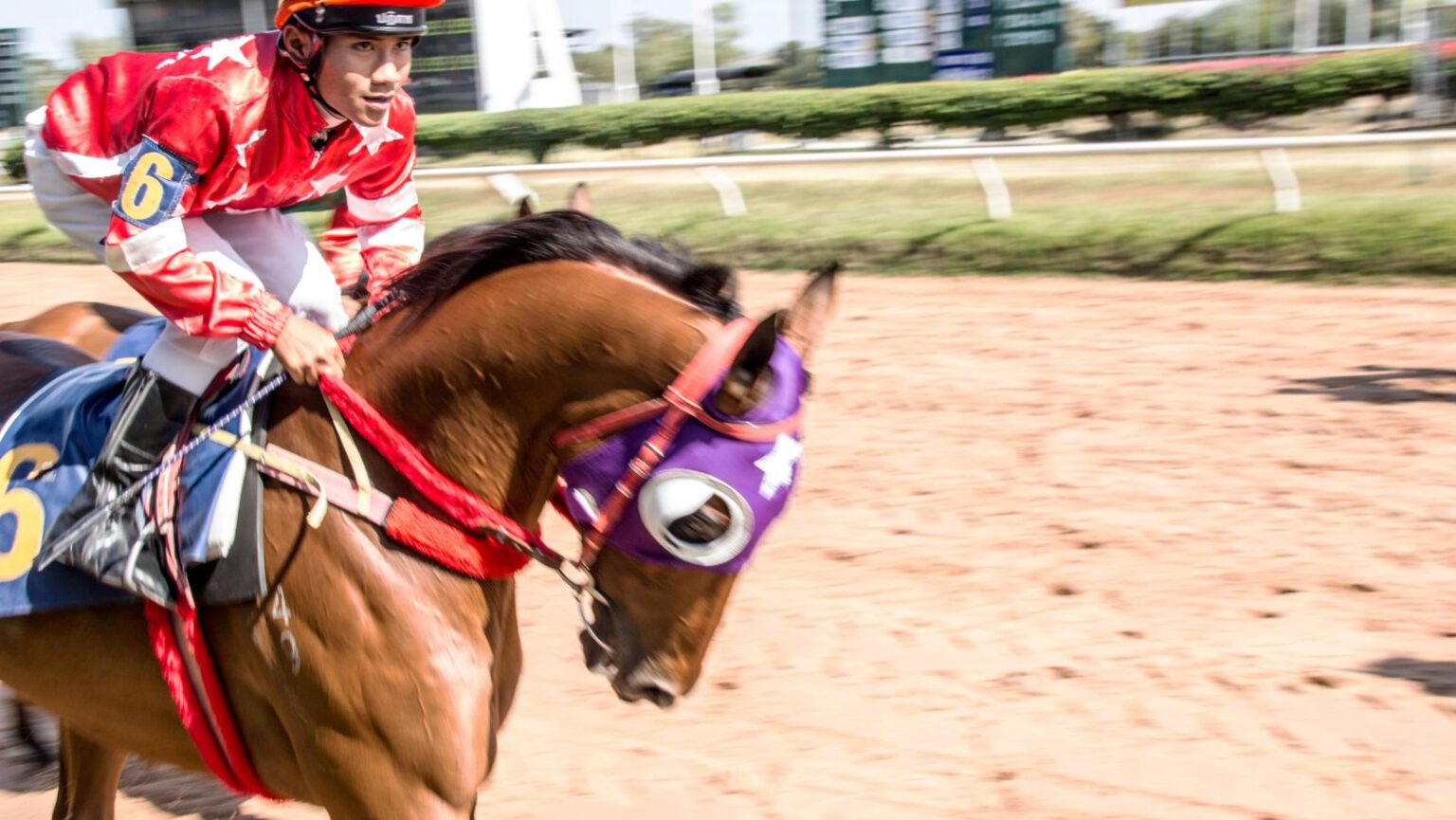 A Comprehensive Guide to Online Betting with Betproexch Login - Travel ...