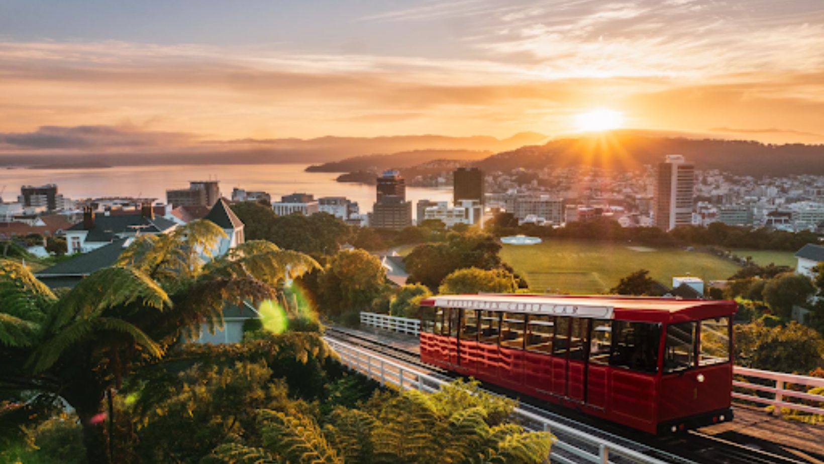 Explore Wellington’s Great Sights and Activities - Traveltweaks