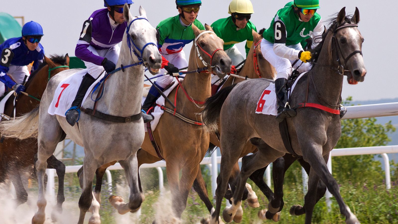 Florida’s Most Famous Horse Racing Locations - TX EPC