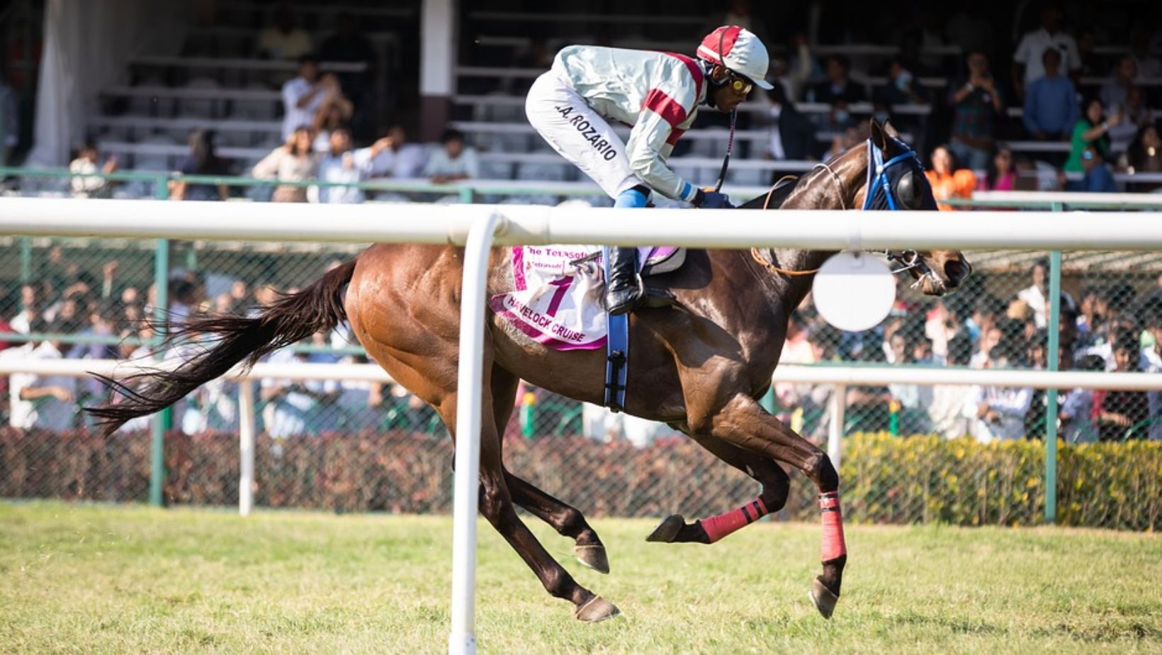 3 of the Most Iconic Horse Race Tracks In The World - Traveltweaks