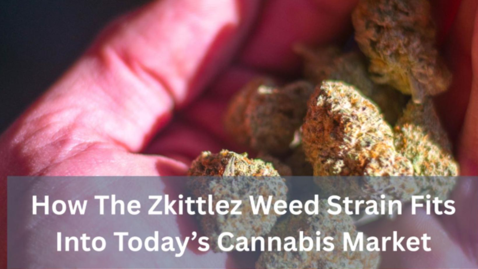 How The Zkittlez Weed Strain Fits Into Today’s Cannabis Market ...
