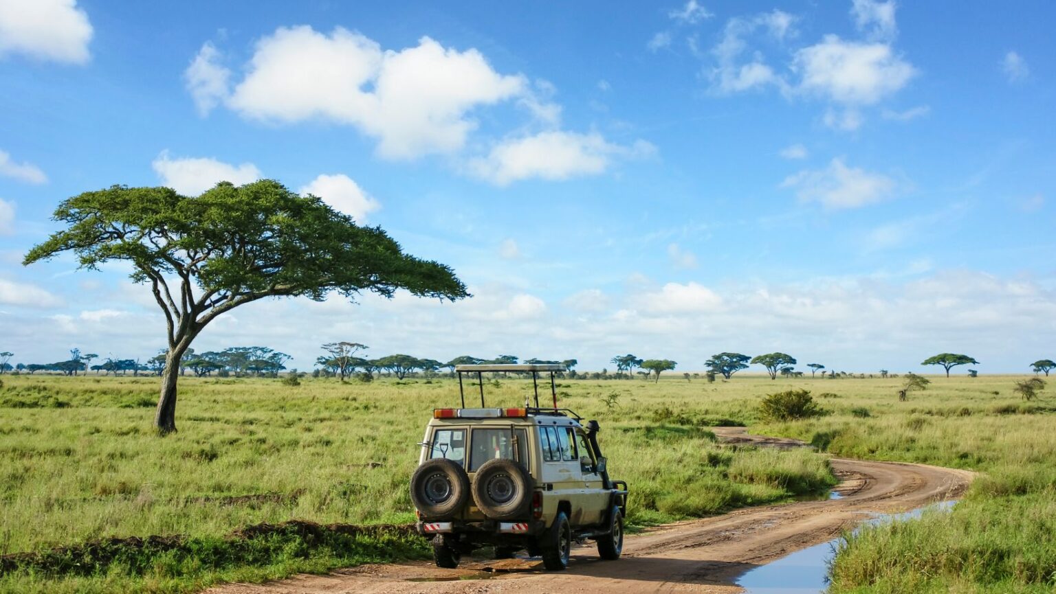 Why an African Safari Should Be on Every Traveler’s Bucket List ...